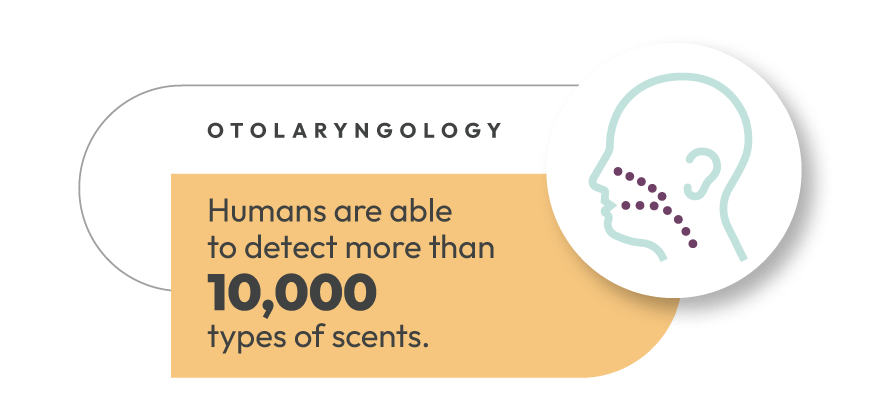 The Complete List Of Doctor Specialties and Subspecialties - Dr.Bill